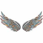 Buy CVANU Beautiful Multi Colour Wings PVC Vinyl Wall Sticker for Home ...