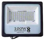 Buy PE LOGO WITH WORD ENLIGHTING LIVES 100 Watts BIS Approved LED Flood ...