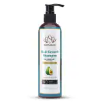 Buy Earth Raga Hair Growth Shampoo with Rice Protein and Avocado Oil ...