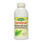 Buy Katyayani Catalyser Silicon Super Spreader Online at Best Prices in India - JioMart.