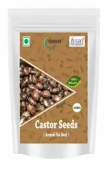 Buy Yamkay Castor Seeds Arandi Ke Beej Ricinus Communis Amanakku Seeds ...