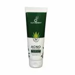 Buy LEAFOBERRYY Acno Face Cleanser Clear Skin Fights Acne and Controls Excess Oil with Willow ...