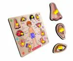 Buy Enorme Mini Wooden Human Body Parts Puzzle with Knobs, Educational ...