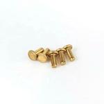 Buy RELY (Pcs-50) Flat Head Brass Rivets Head Dia-2.5 mm x Length-6 mm ...