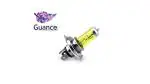 Buy Guance Yellow H4 Halogen Bulb Universal for All Bikes Online at ...