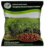 Buy Iagrifarm Red Sorghum Sudan Grass Fodder Seeds - 2 Kg - Multi Cut Fodder Seeds For Fodder ...