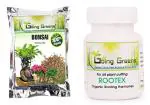 Buy Going Greens Combo of 100% Organic Bonsai Potting Soil Mix (800 Grm ...