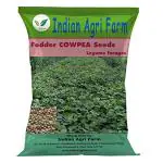Buy Iagrifarm Fodder Cowpea Seed - 3 Kg for Fodder Cultivation Online at Best Prices in India ...