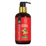 Buy AE Naturals Roop Sundar Herbal Shampoo 300ml Online at Best Prices ...