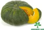 Buy Greenery Hub Organic Pumpkin Seeds (10 Per Packet) Online at Best ...