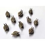 Buy CooPany Bat Head Roots Seeds/Evil Pods/Wood Devil/Kaknasa Martynia ...