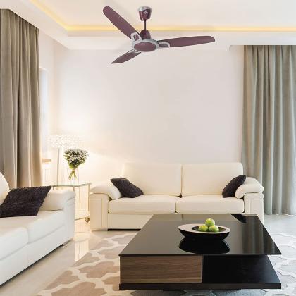 Polycab Revere 1200 mm Ceiling Fan, Vine Grape - JioMart