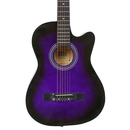 Intern INT-38C Acoustic Guitar, Violet - JioMart