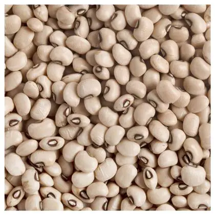 Pro Nature Organic White Lobia / Chawli 500 g - JioMart