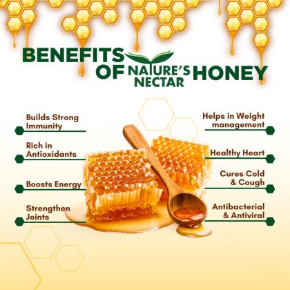 Nature's Nectar 100 % Natural Honey 1 Kg - JioMart