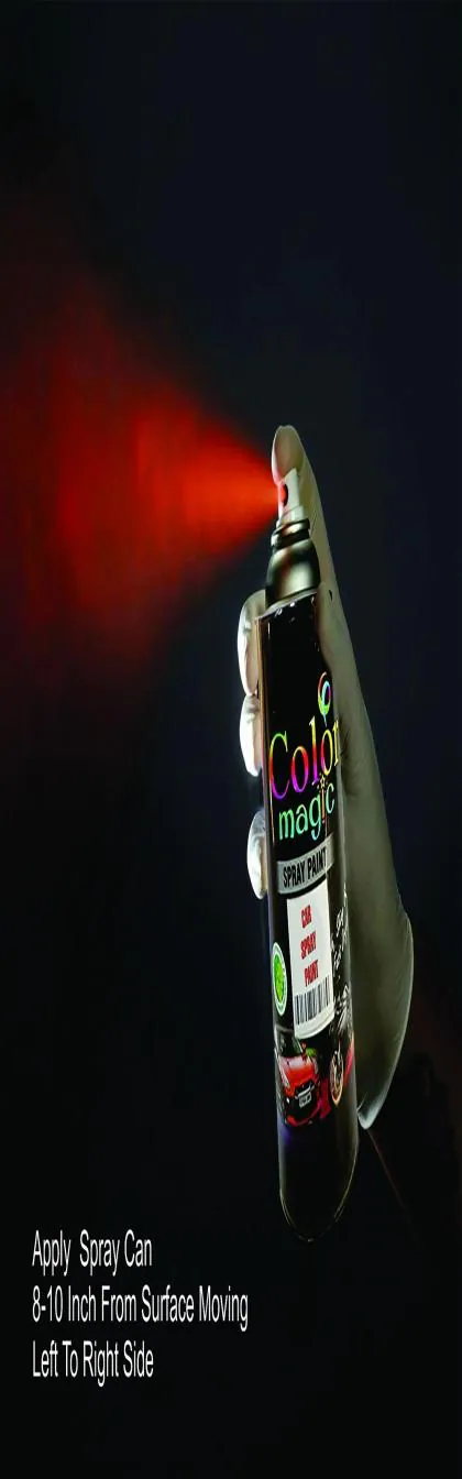 COLORMAGIC SPRAY PAINT Tata Daytona Grey Spray Paint 200 ml (Pack of 1 ...