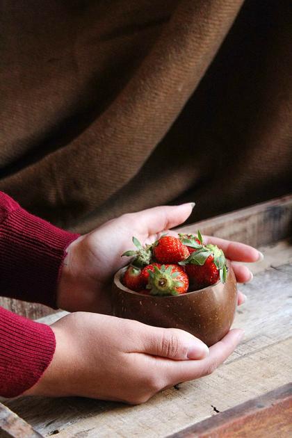 Coconut Bowl Super Jumbo - Set of 1, Eco-friendly ( Handcrafted from ...