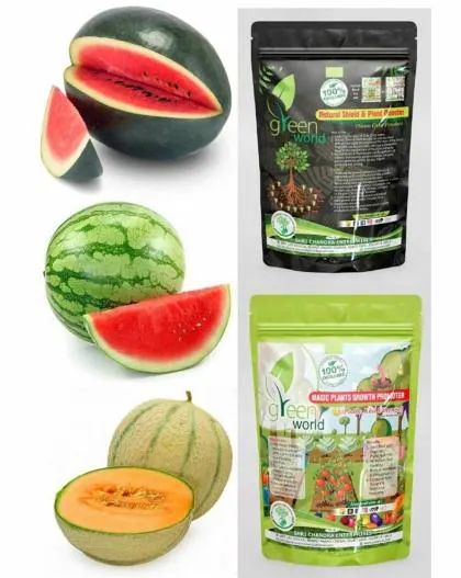 Green World Organic Water Melon Sanya , Watermelon Aalam Daksh, Musk ...