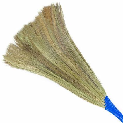 Monkey 555 5T Natural Grass Broom with Steel and Plastic Handle 122 cm ...