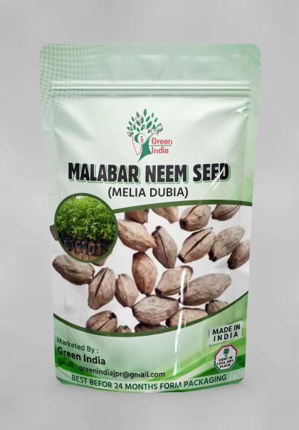 Green India Melia Dubia, Malabar Neem,Hebbevu Fast Growing Tree Seed_55 ...
