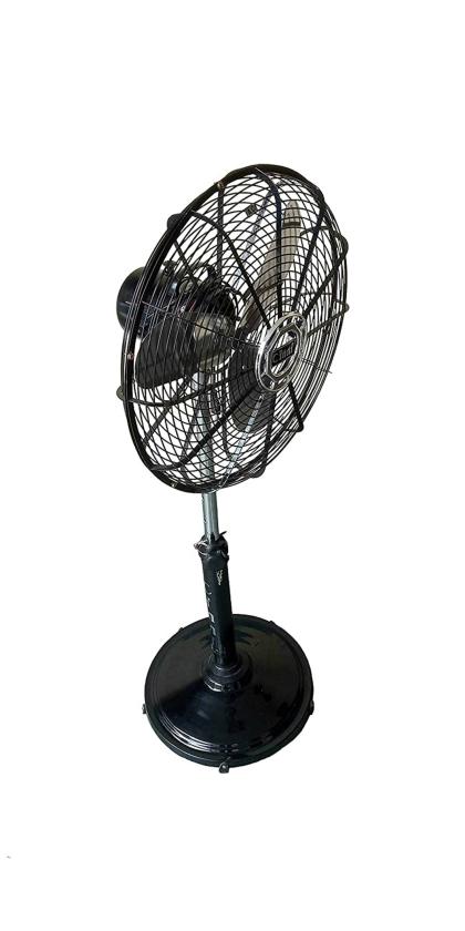 Cinni Original Mini 400mm Pedestal Fan, Black - JioMart