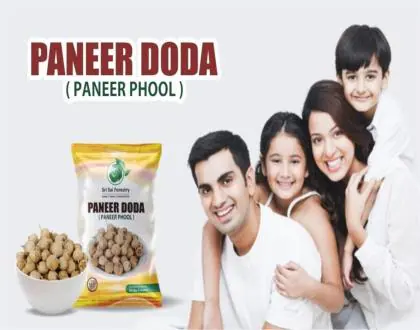 Paneer Dodi | Paneer Phool for Diabetes (400 Quantity) | Paneer Doda ...