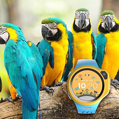 WatchOut Wearables Next-Gen Macaw Blue 1.39 Inch Blue Smartwatch For ...