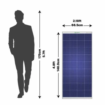 ZunSolar 165 watt Solar Panel - JioMart