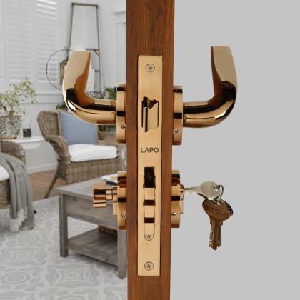 LAPO 116 Premium Mortise Door Handle Locks with 4 Latches for All The ...