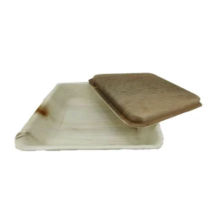 Aumni Crafts Areca Leaf Boxes With Lid (1 KG Capacity, Pack of 10 ...