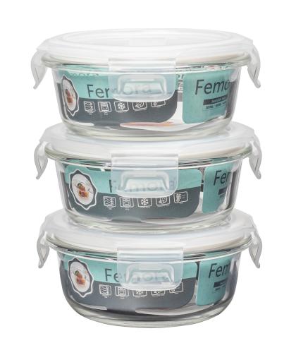 Femora Borosilicate Glass Microwave Safe Container Multipurpose Lunch ...