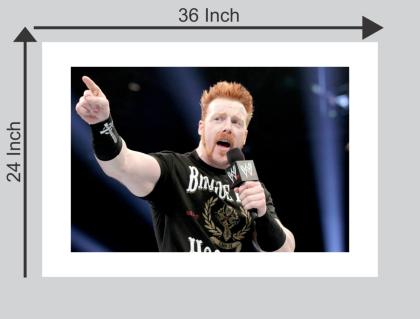 Sticker Studio PVC Vinyl Sheamus Wall Poster 36 X 24 inch - JioMart