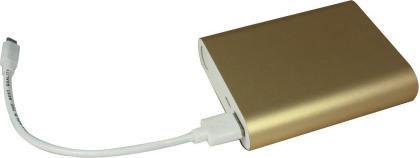 ORENICS 10400 mAh Gold Power Bank (Lithium-ion Battery) - JioMart