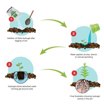 Chemtex Alsta Hydrogel Polymer-Plant Growth Promoter 900Gms - JioMart