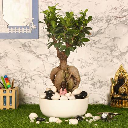 Justoriginals White Collection Tray Bowl Shape Flower Pot Plain(Color ...