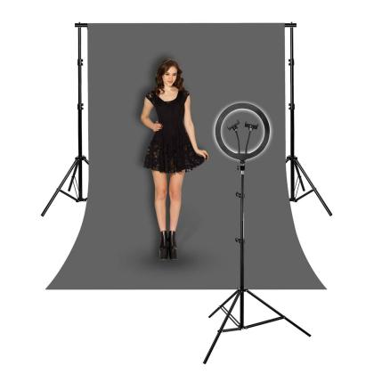 HIFFIN Grey Screen Backdrop with Stand, 8ft x 12ft Wide Backdrop with ...