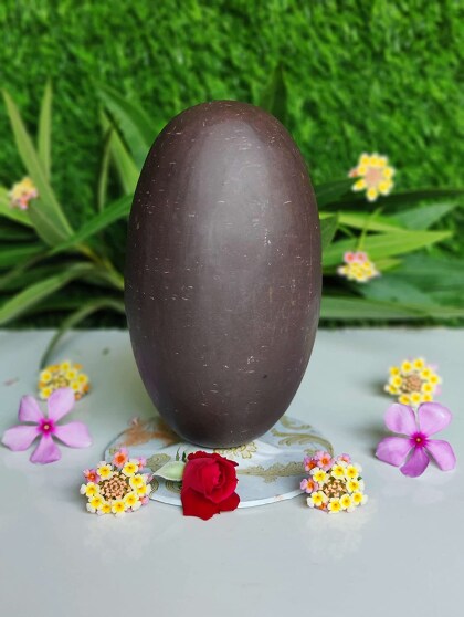 SHIVAM VASTU KALA SHIVLING ART Original Narmadeshwar Banalingam Lingam ...