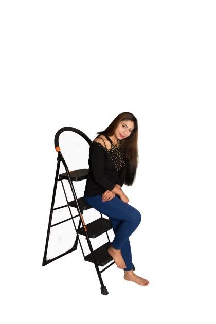 Parasnath Mild Steel Black Diamond Ladder With Wide 4 Steps 4.2 ft ...