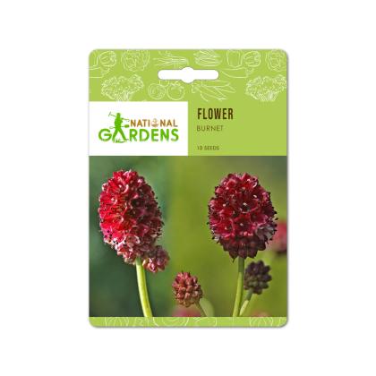National Gardens Burnet Flower Seeds (10 Nos) - JioMart