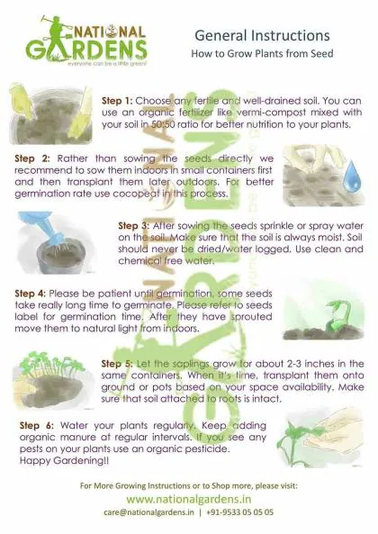 National Gardens Blackberry Fruit Seeds (10 Nos) - JioMart