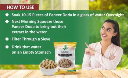 Paneer Doda | Paneer Phool for Diabetes (400 Quantity) | Paneer Dodi ...