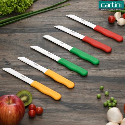 Godrej Cartini Multicolor Stainless Steel Handy Knife Set 17.4 cm (6 ...