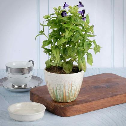 Kraftlik Handicrafts Planter with Bottom Tray Ceramic Table Top Planter ...