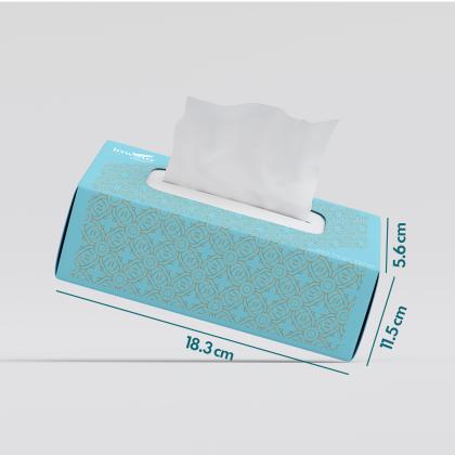 Imvelo Ultra Soft 2 Ply Facial Tissues Box | Pack of 10 - (100 Pulls ...