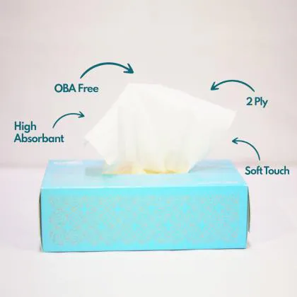 Imvelo Ultra Soft 2 Ply Facial Tissues Box | Pack of 10 - (100 Pulls ...