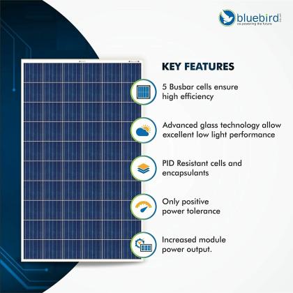 Bluebird Solar 275 Watt 24 Volt Polycrystalline Solar Panel (BIS ...