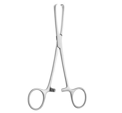 Forgesy (8 INCH) (1 pc) Alice Tissue Forceps Stainless Steel CE Quality ...