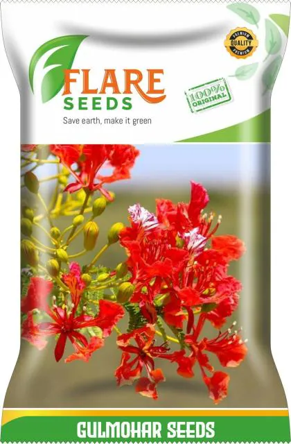 Flare Seeds Flower Gulmohar Seed 20 Per Packet - JioMart