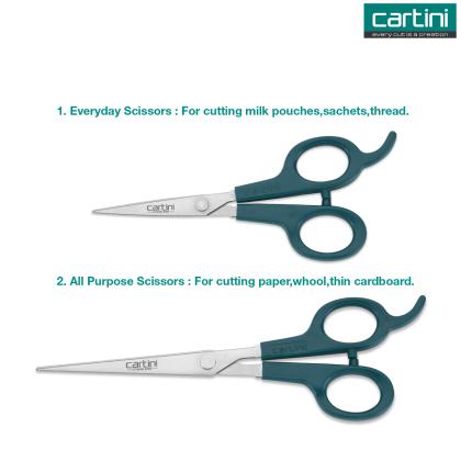 Godrej Cartini Stainless Steel Saloon Scissor 2 pcs (MKT6805) - JioMart