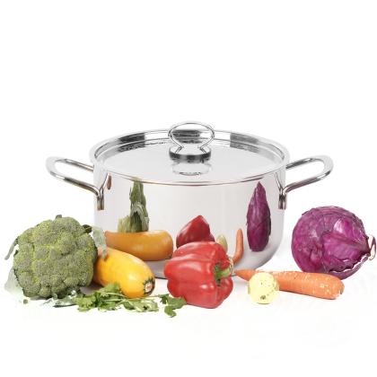 Pradeep champion Stainless Steel Triply Cookpot with SS Design Lid ...